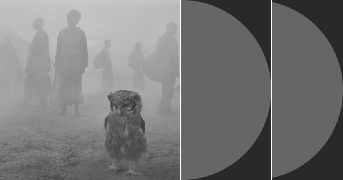 List: Photographers - Favourites | Curated by Suzanne Goodwin | Medium