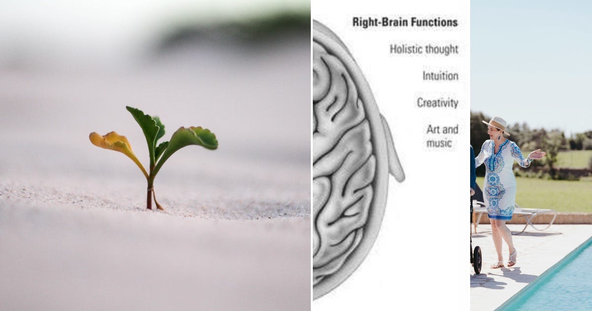 List: Brain | Curated by Qbit | Medium