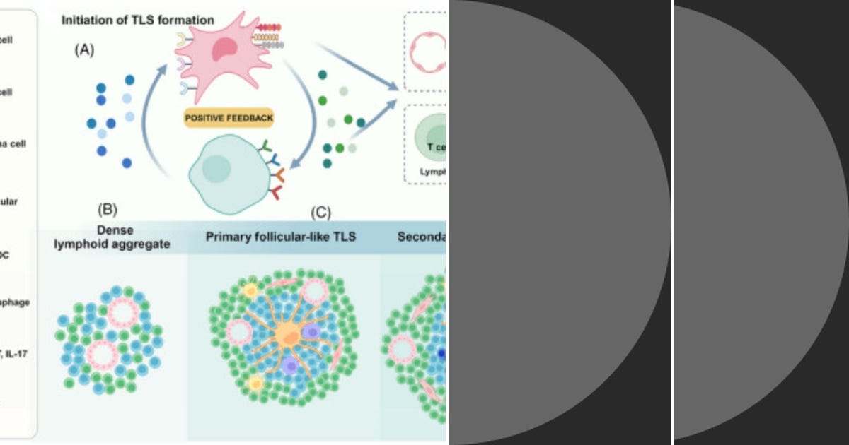List: TLS | Curated by TissueGnostics Asia-Pacific | Medium