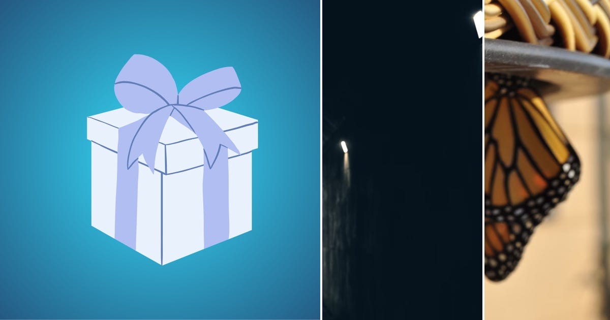 List: The Side Talk | Curated by Joe Njenga | Medium