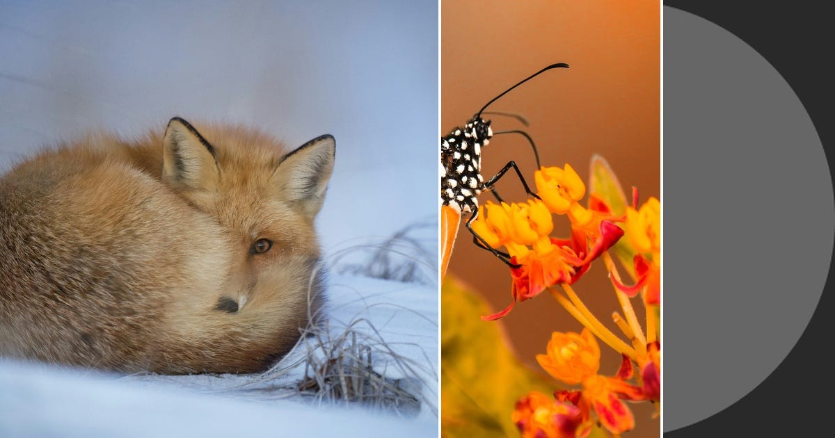 List: Time series | Curated by deepak kumar | Medium