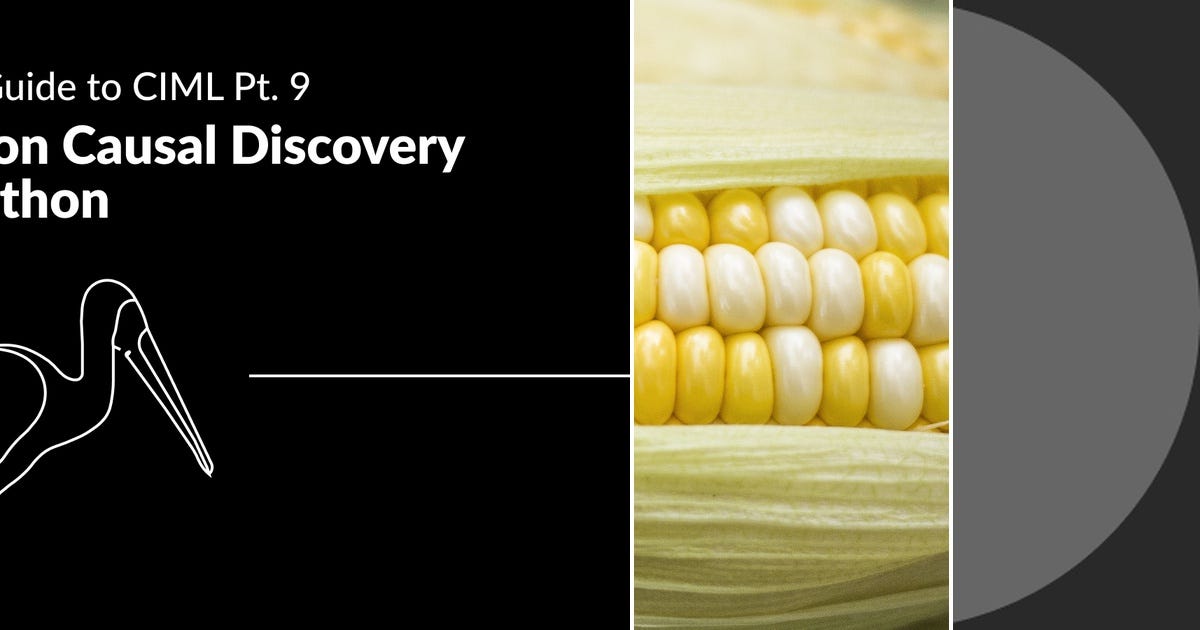 List: Causal | Curated by Simon Xin | Medium