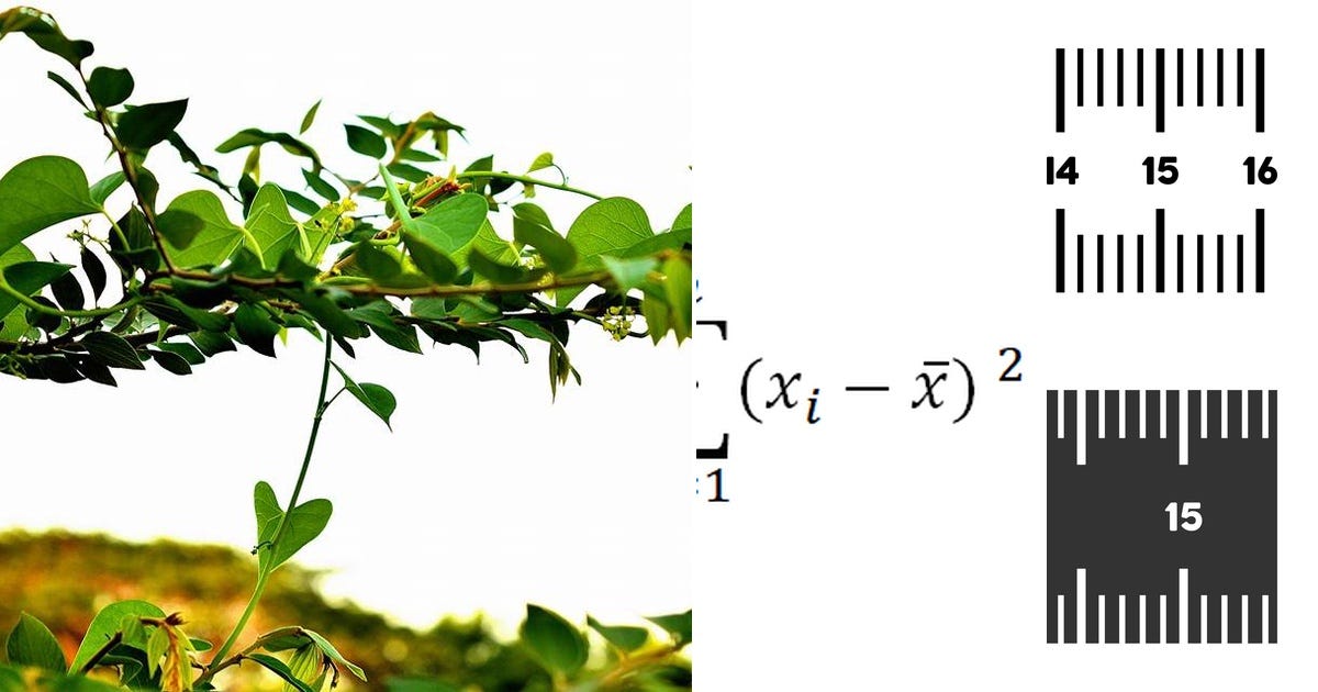 List: Linear Regression | Curated by Andrew A | Medium