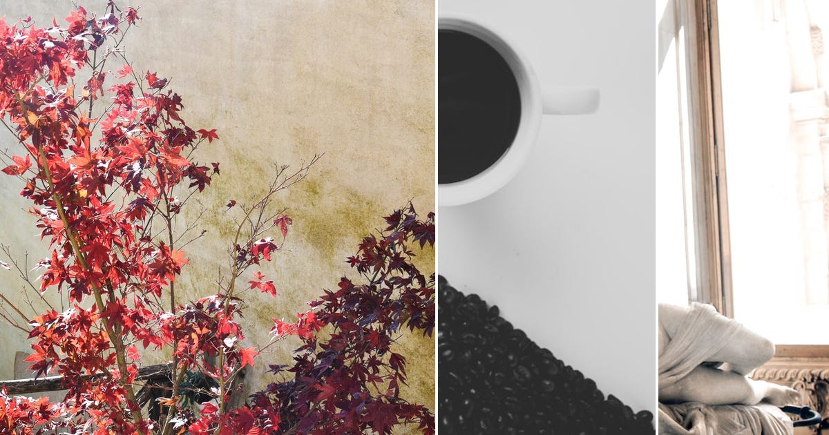 List: Poetry | Curated by Umainah sadaf | Medium