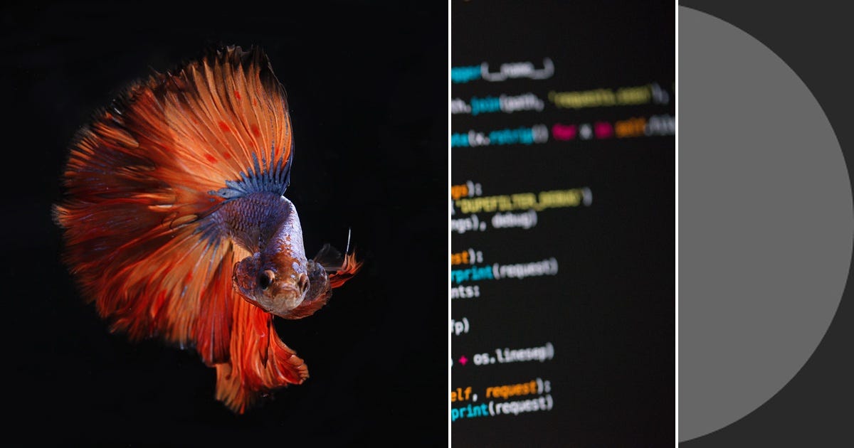 List: Numpy | Curated by Chung H. Ho | Medium