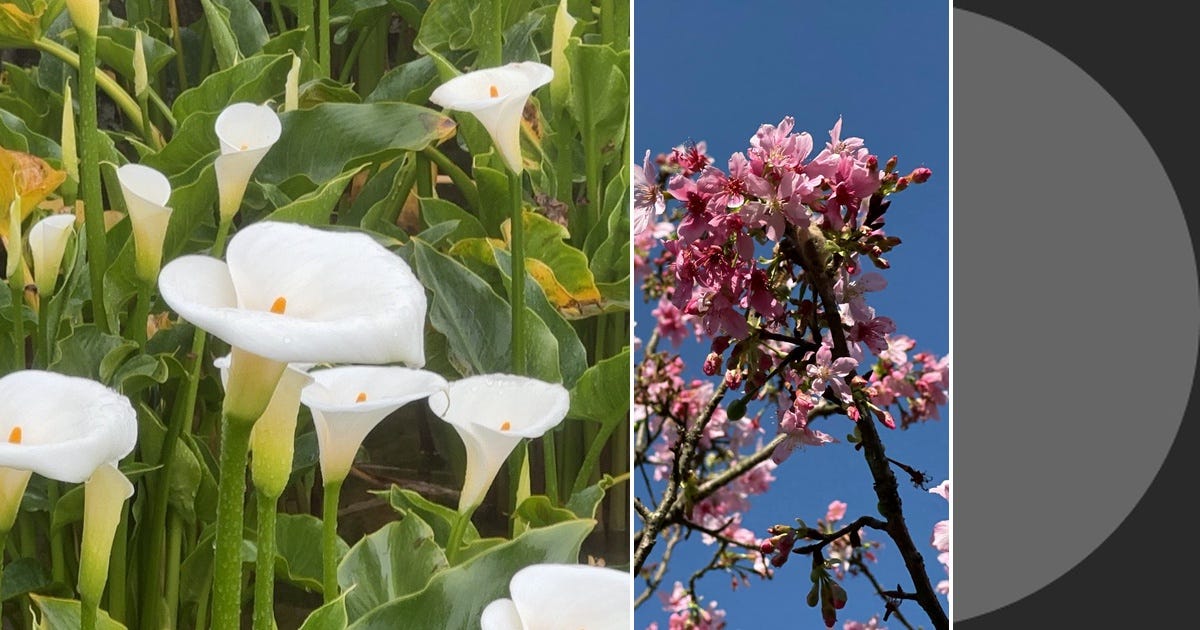 List: 台北印象 | Curated by I'm Chun | Medium