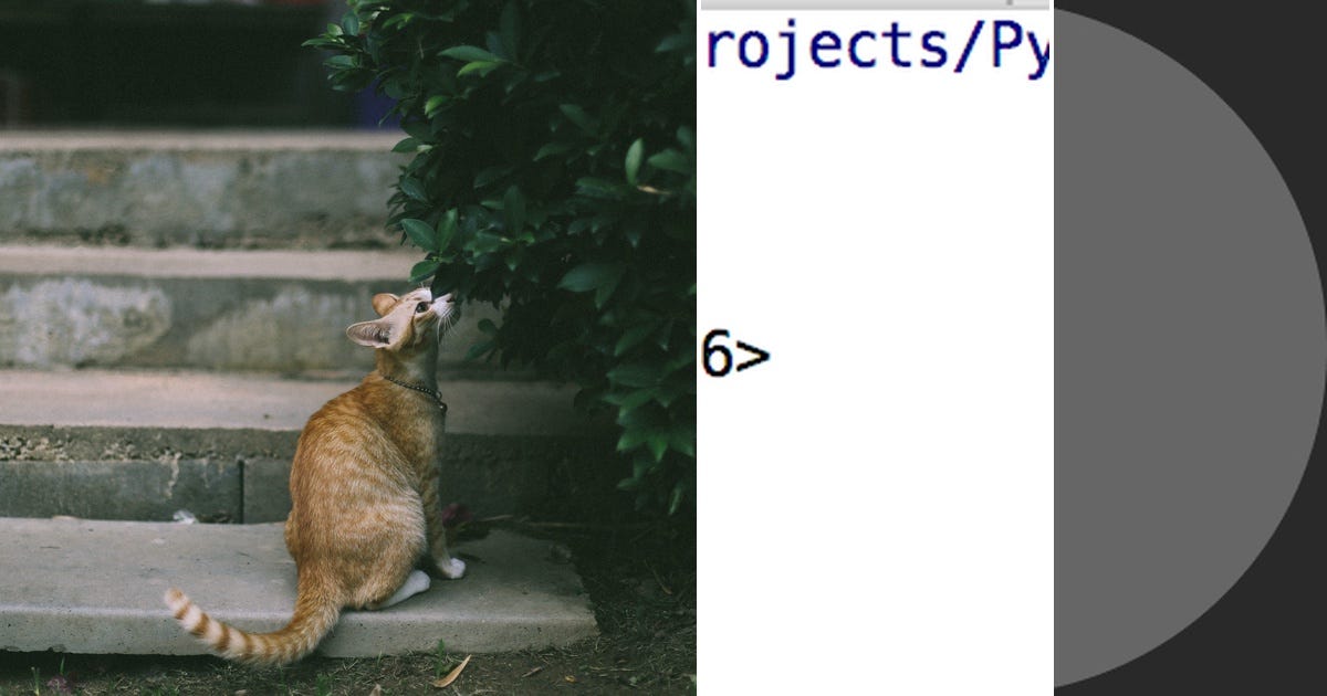 List: Reading pcap | Curated by Skybreak | Medium