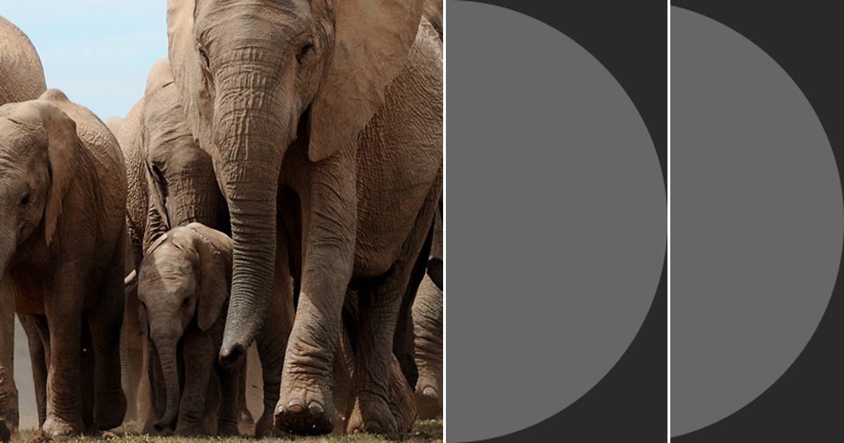 List: NNT | Curated by Seong Ryu | Medium