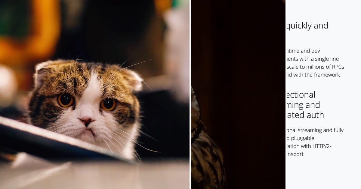 List: C++ | Curated by Byihta School | Medium