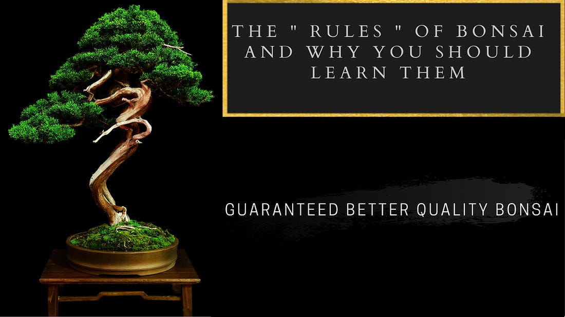 Bonsai Quotes