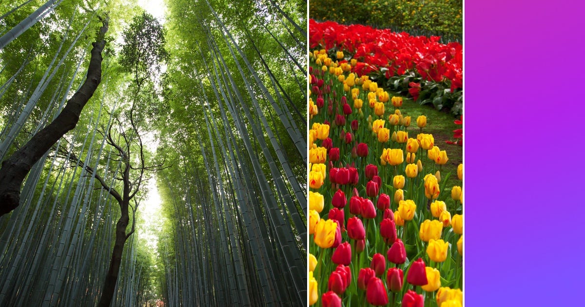 List: 方案 | Curated by clive tao | Medium