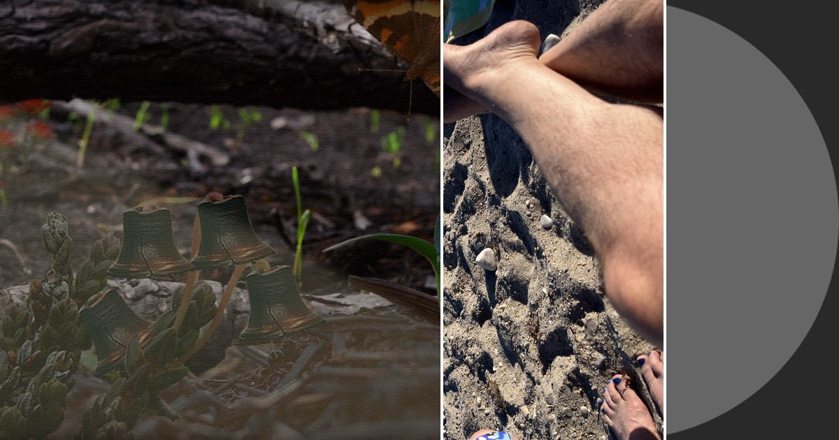 List: Vote SMART | Curated by Jerry Levin | Medium