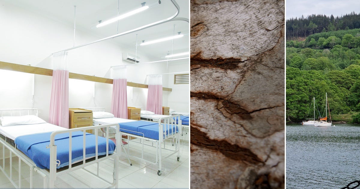 List: The Lupus Diaries | Curated by Jade Hadfield | Medium