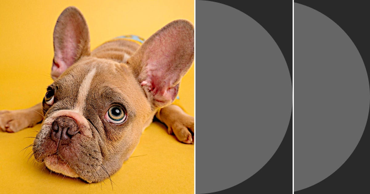 List: Sparking | Curated by Shovit Mittra | Medium