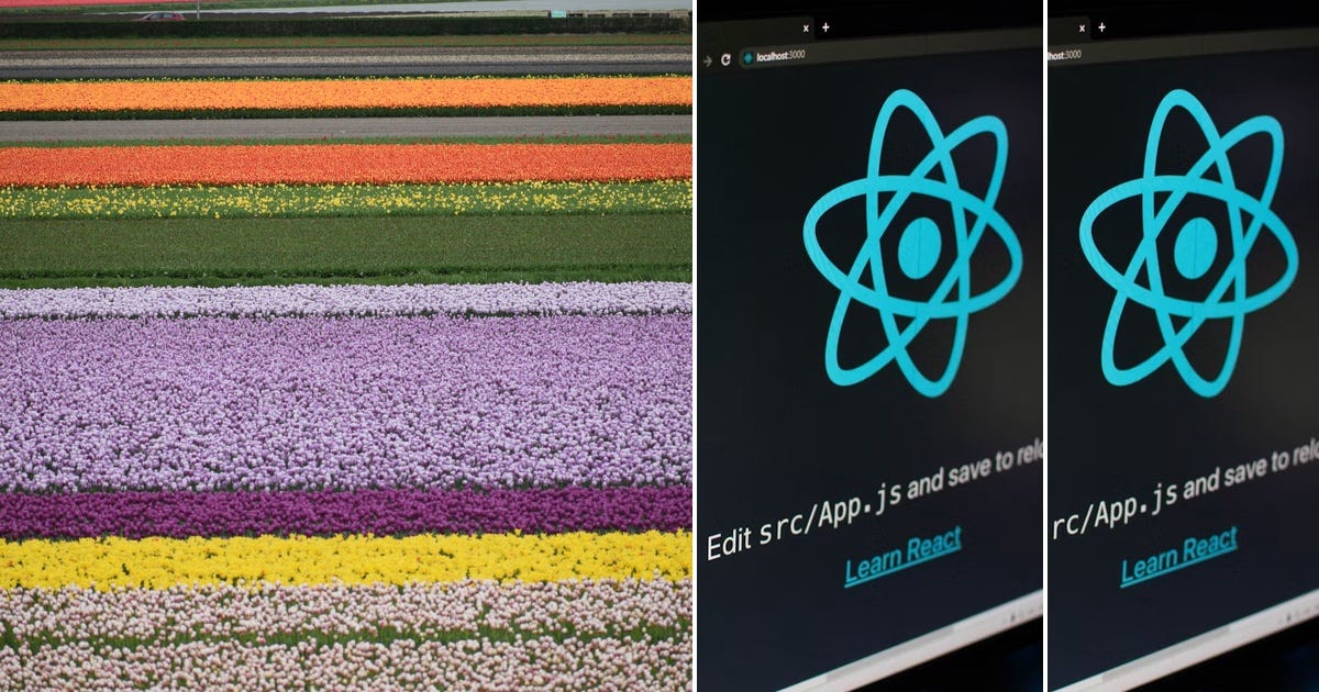 List: Angular 19 | Curated by Swapnil Jain | Medium