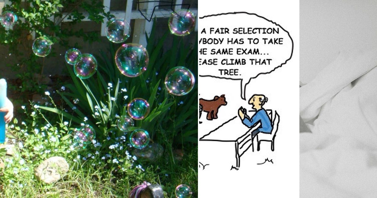 List: ; | Curated by bokeii | Medium