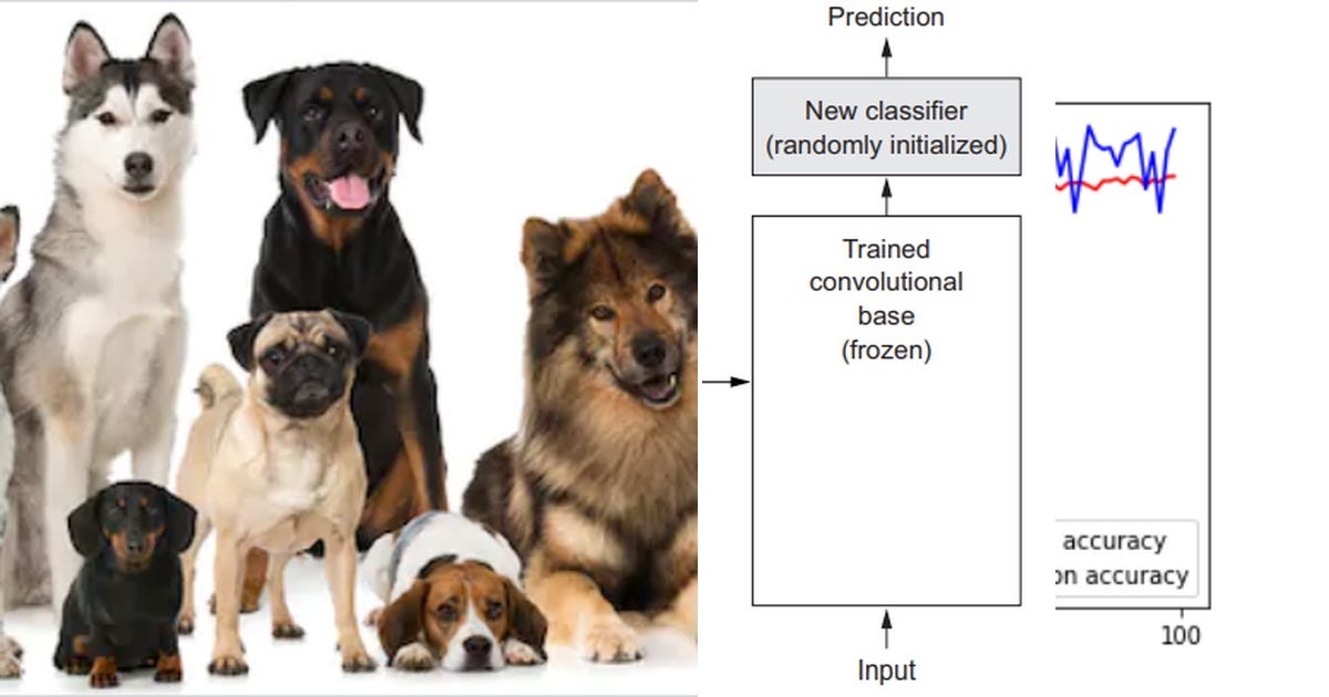 List: AI Model for Dog or Cat | Curated by sampath kumar | Medium