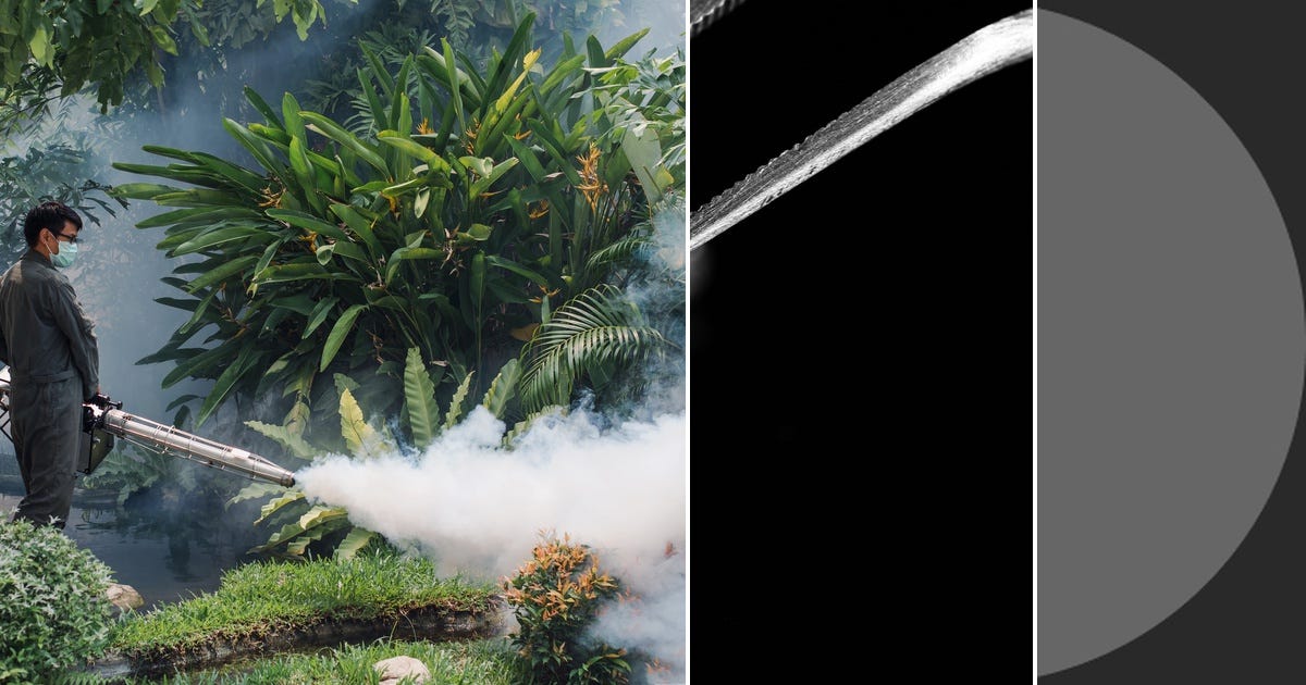 List: Bug & Testing Process | Curated by Simone Cionci | Medium