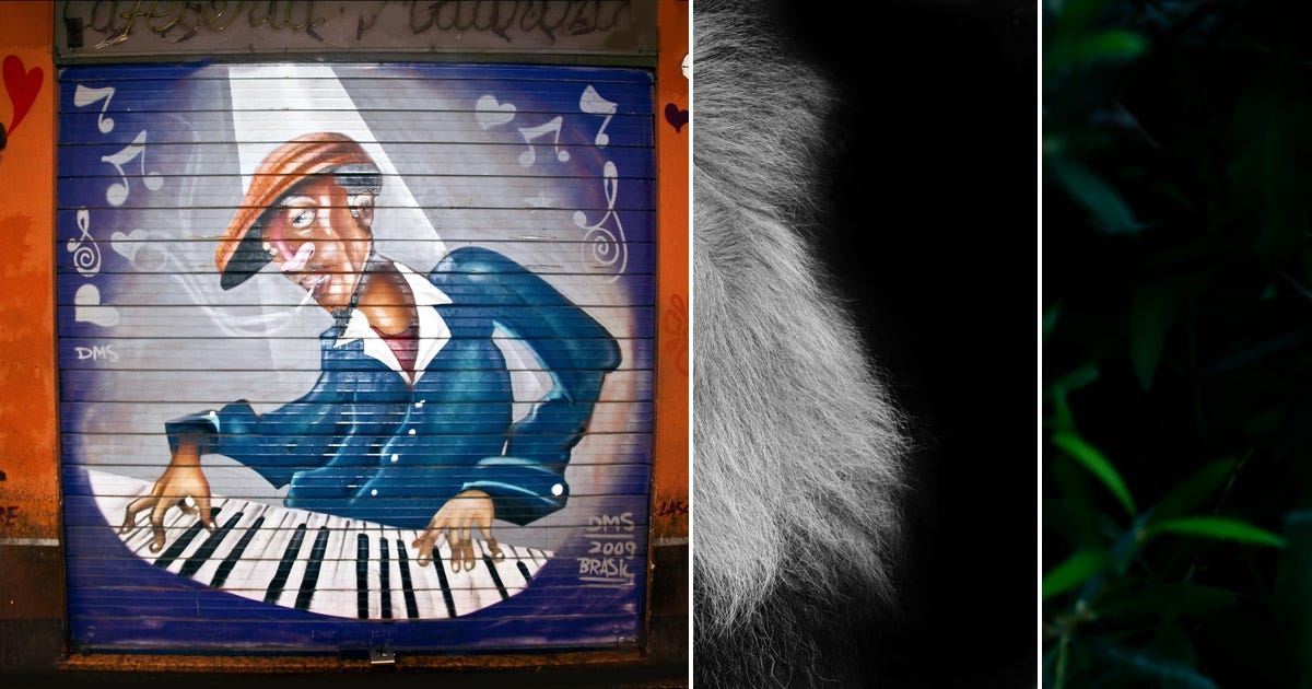 List: beautifully written | Curated by Ju Liang | Medium