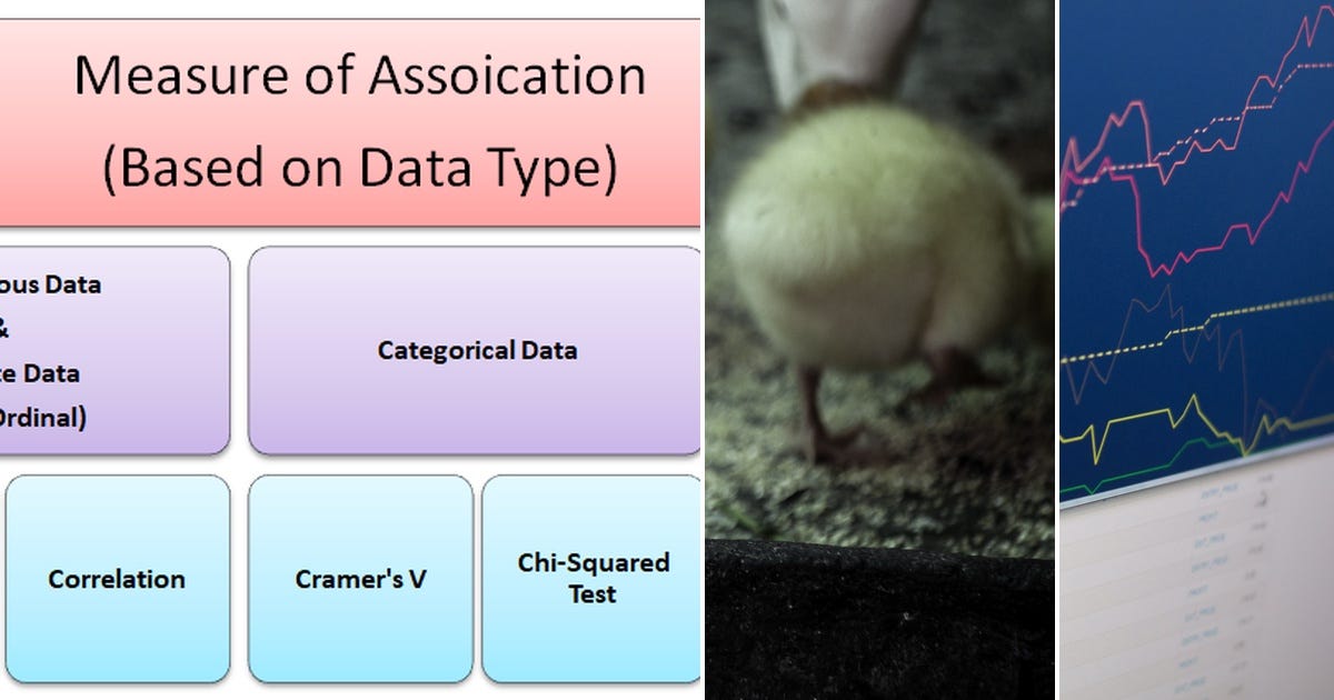List: Correlation Types & Applicability | Curated by Hiroshi Thurber | Medium