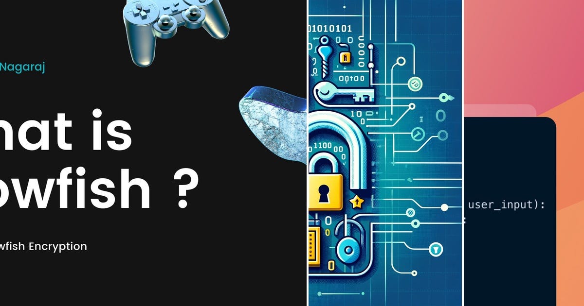 List: Python example | Curated by Brandon Naitali | Medium