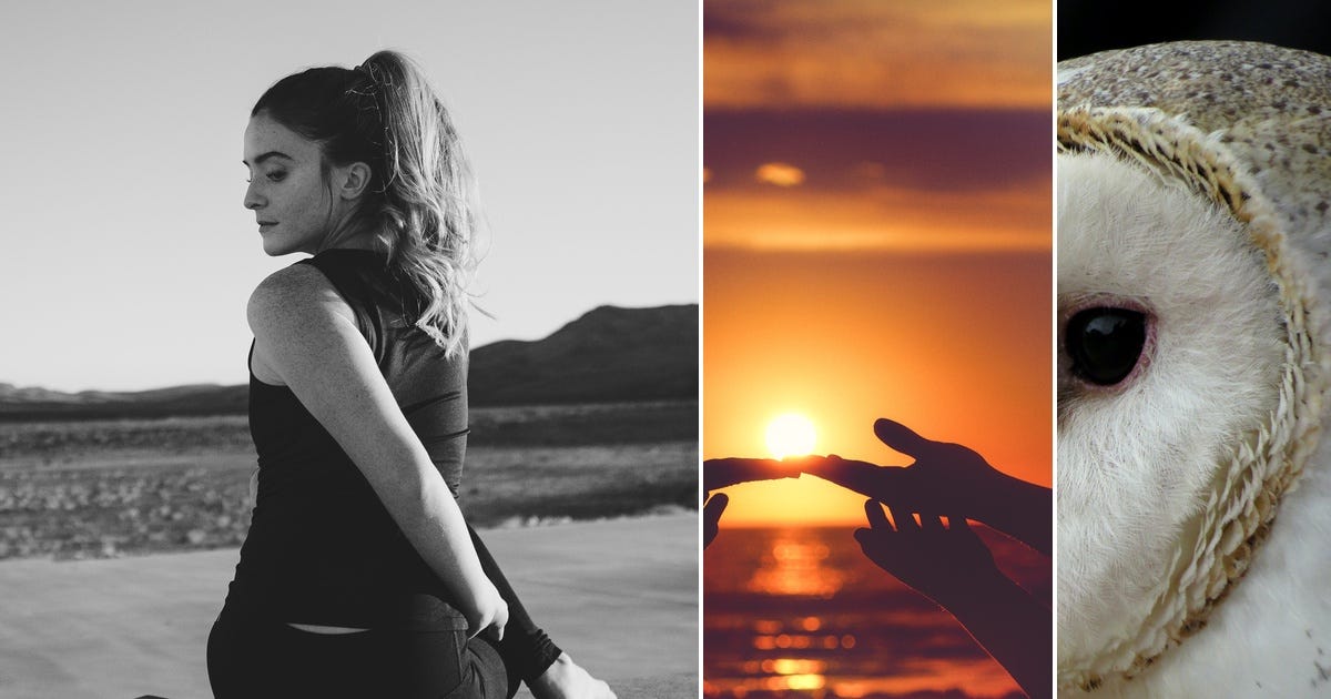 List: Ann Litts | Curated by Carolyn Holub | Medium