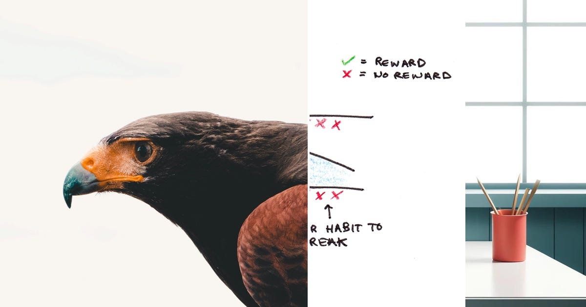 List: Well-being | Curated by Iulia Puiu | Medium