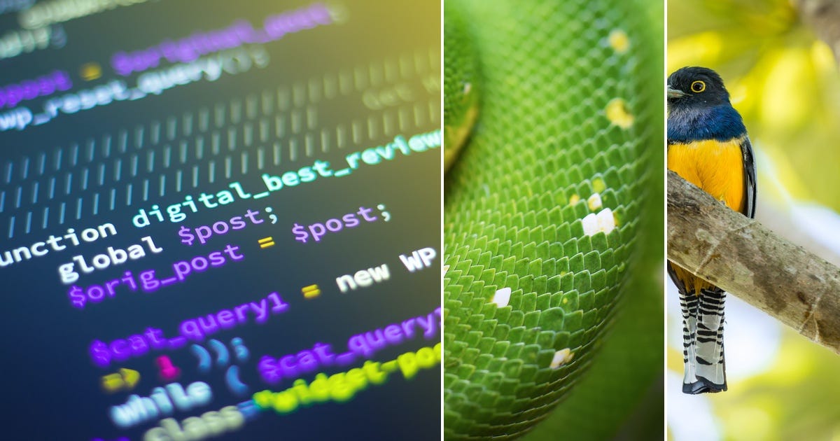 List: python | Curated by Michael | Medium