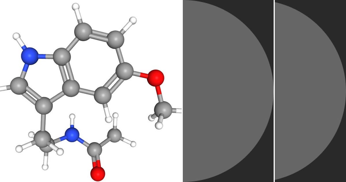 List: Doris Loh | Curated by Domenico Stallo | Medium
