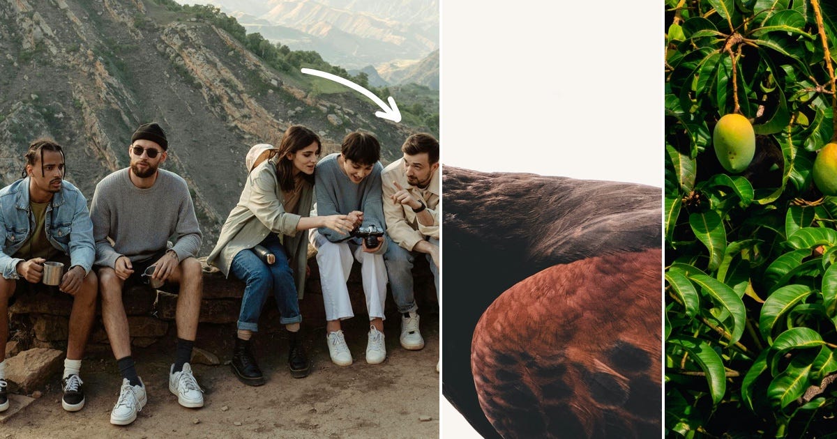 List: Mia | Curated by Johanna Marie Camarillo | Medium