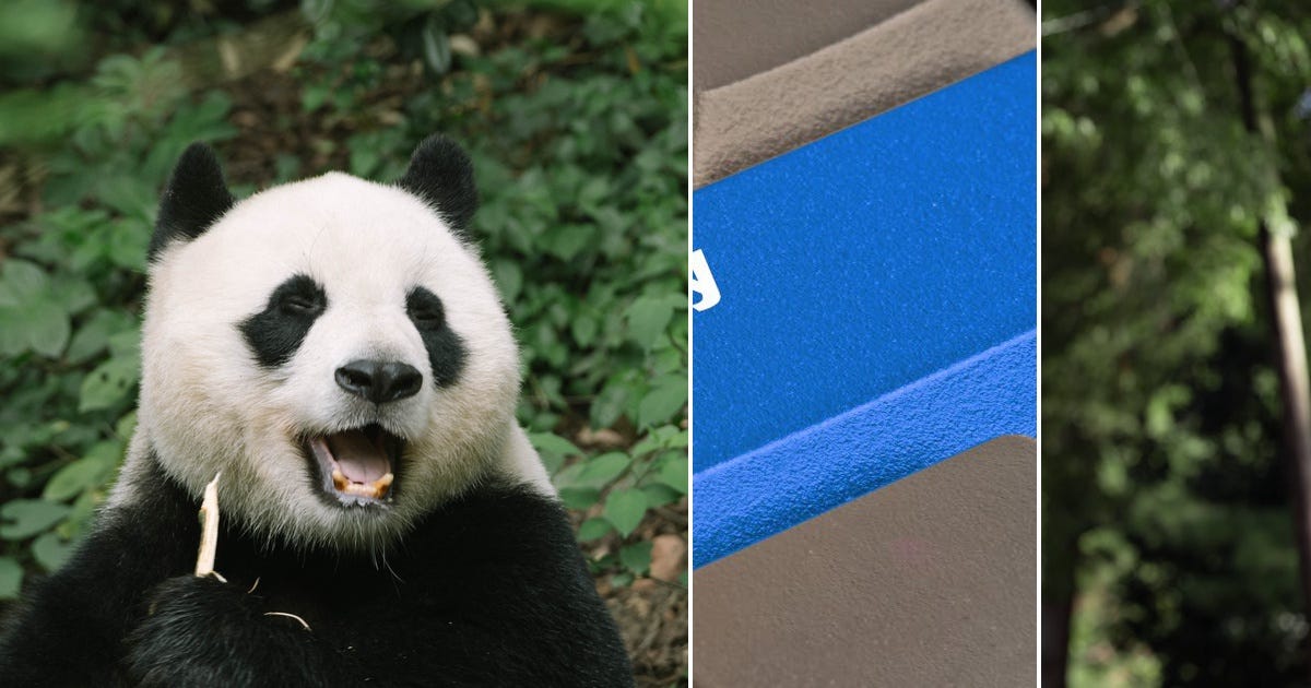 List: Model Deployment | Curated by Luis Osorio | Medium