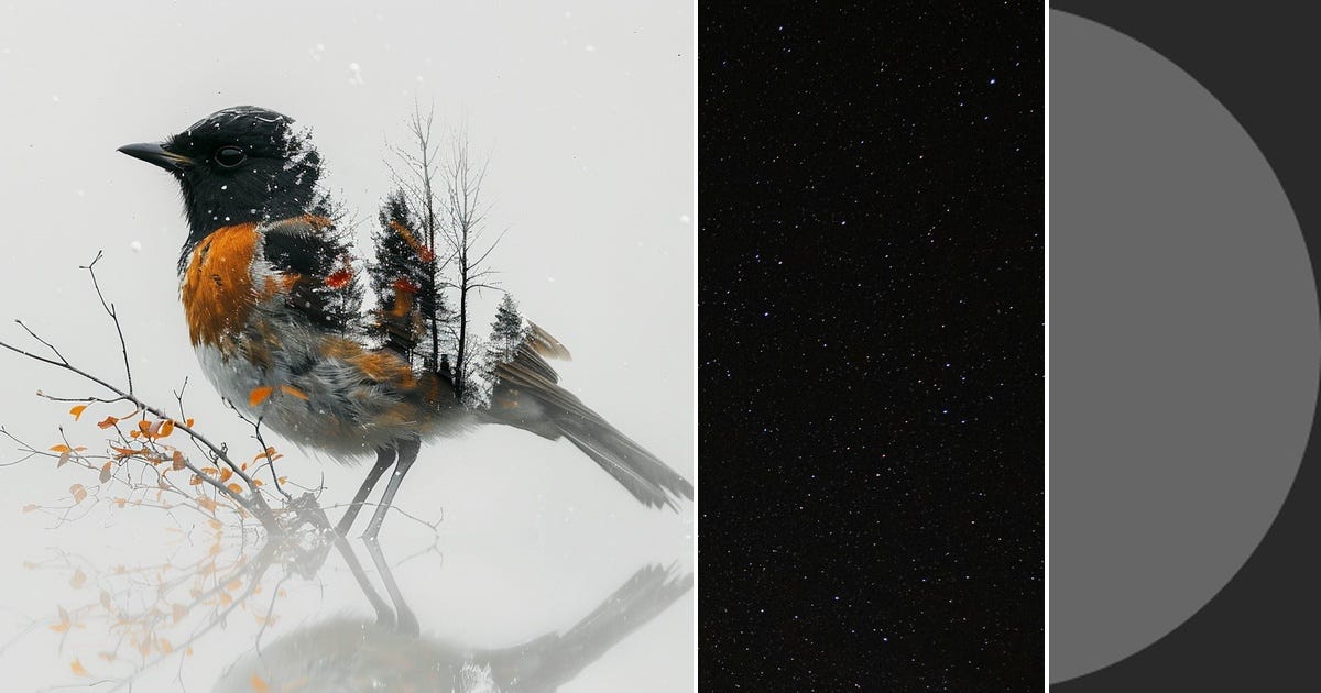 List: Free Verse | Curated by Safia | Medium