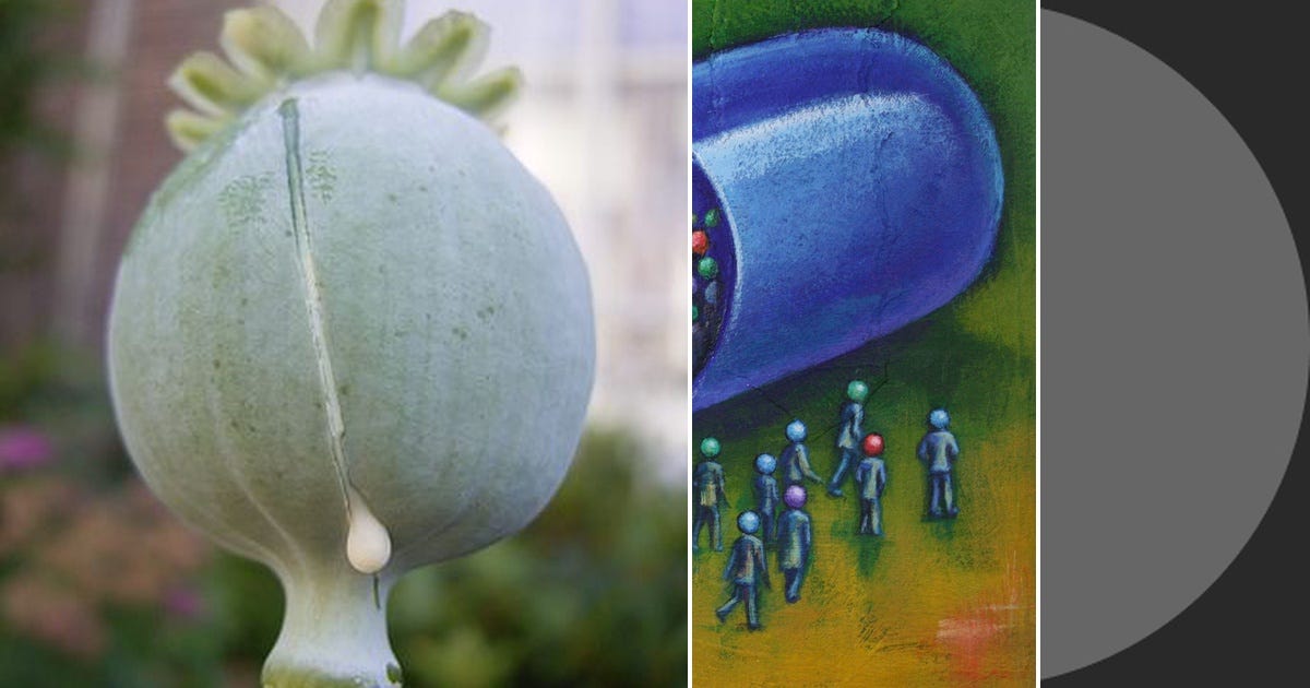 List: Chem | Curated by Macey Rose Small | Medium