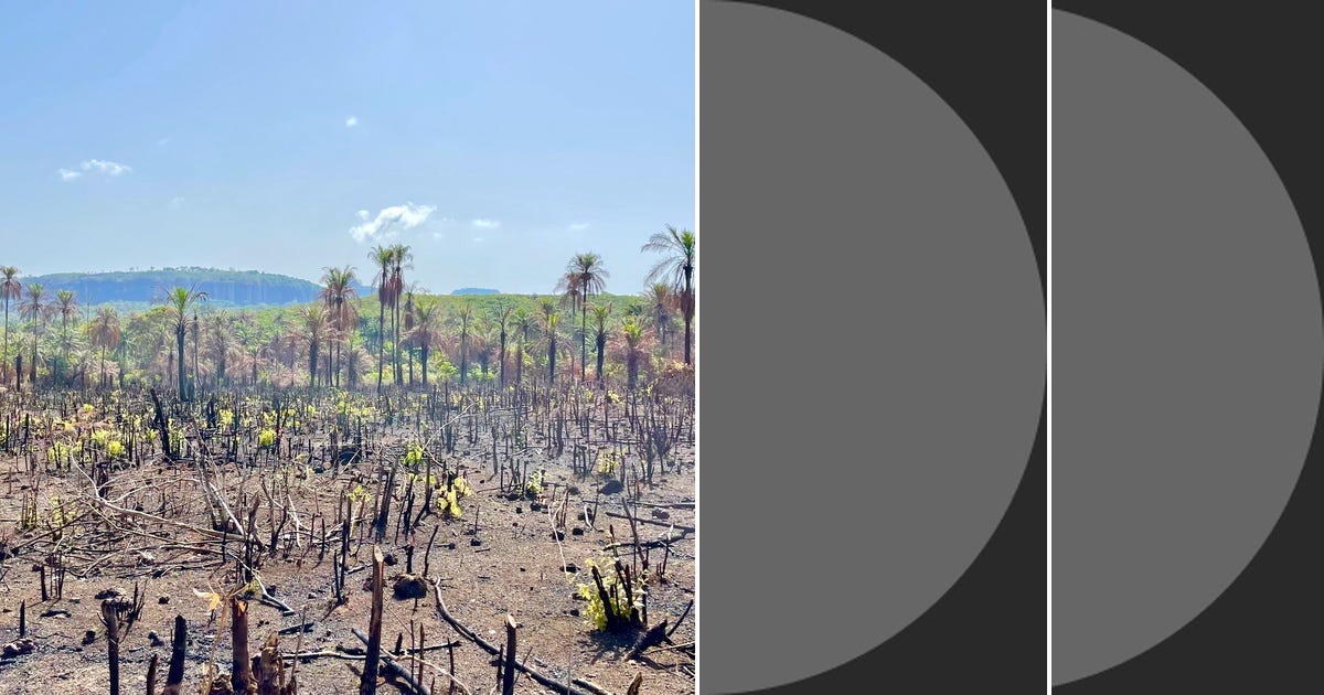 List: English | Curated by Global Stride | Medium