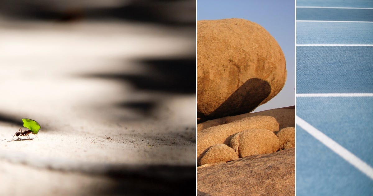 List: Positioning | Curated by Nadja Toft | Medium