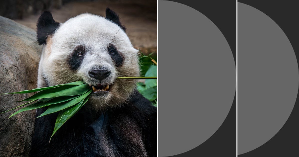 List: File Types | Curated by Tony Hollaar | Medium