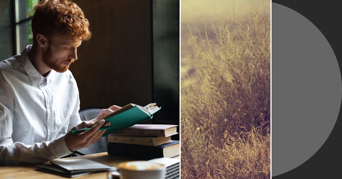 List: Productivity | Curated by Russell Clarke | Medium