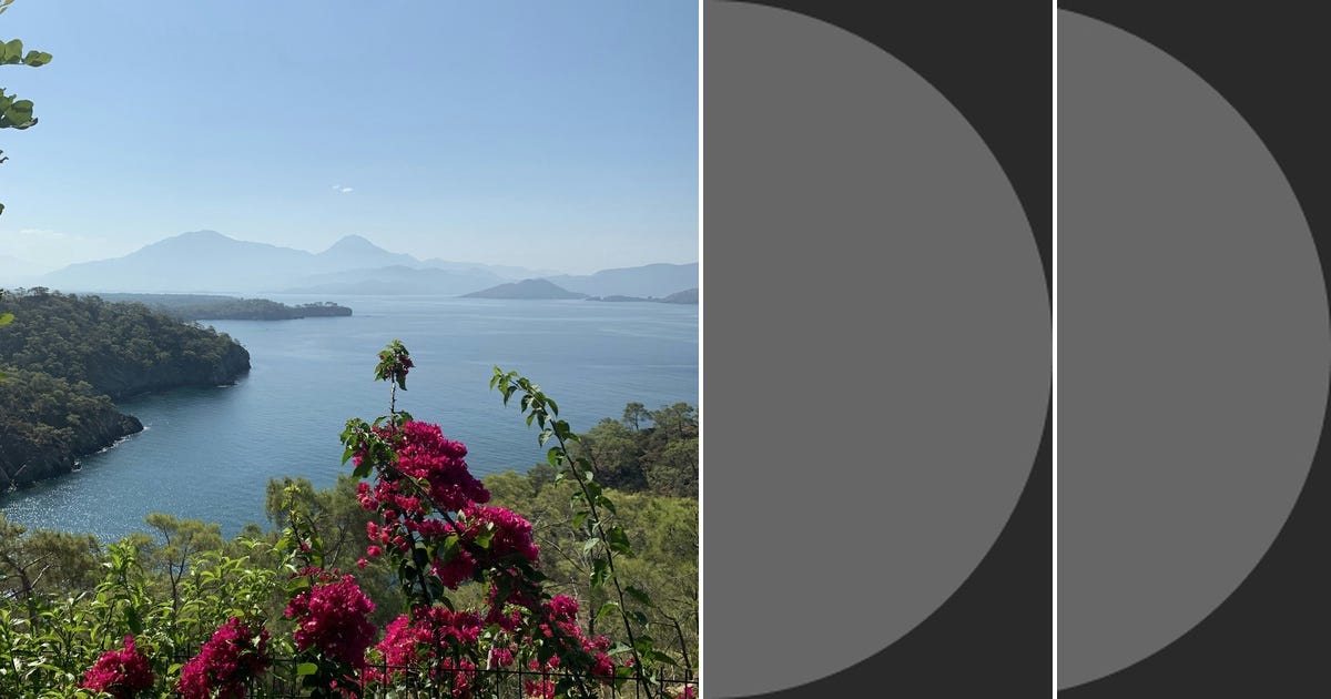 List: Life | Curated by Nene.dev | Medium