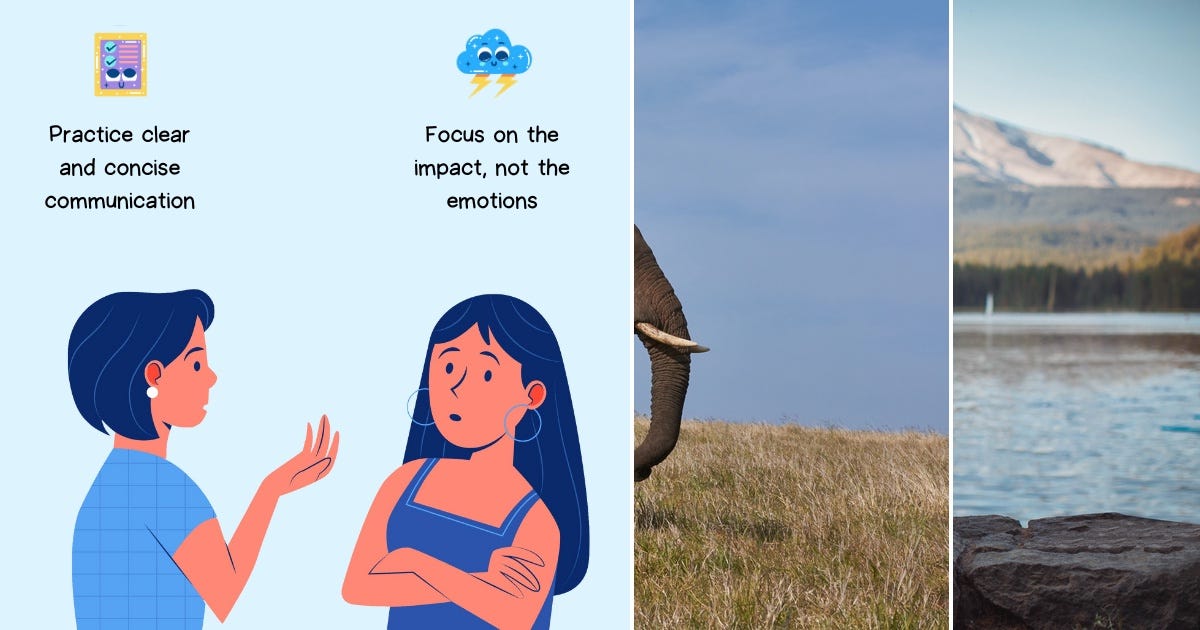 List: empathy | Curated by Sarah Kimi Rettig | Medium