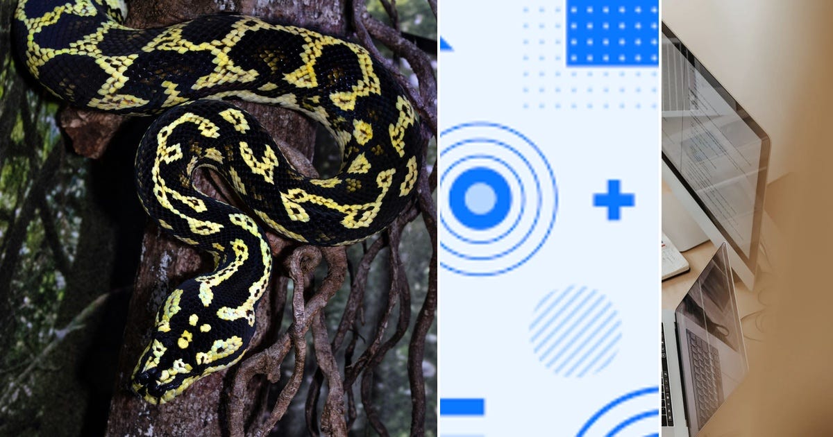 List: DataBase | Curated by Qiuhao | Medium