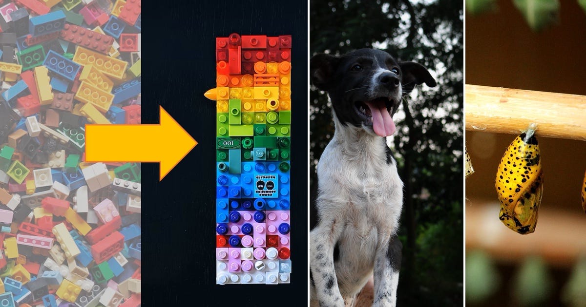 List: Agile-Scrum-Project | Curated by Peter Lorenz | Medium