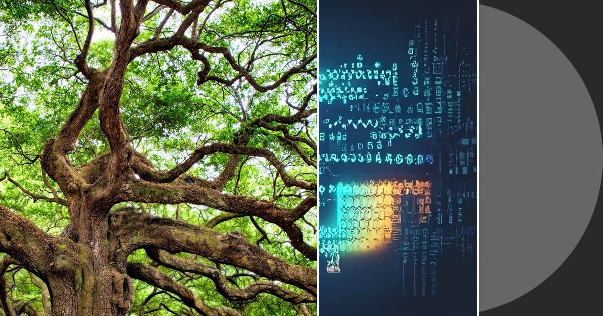 List: Python | Curated by Sakura Mizuno | Medium