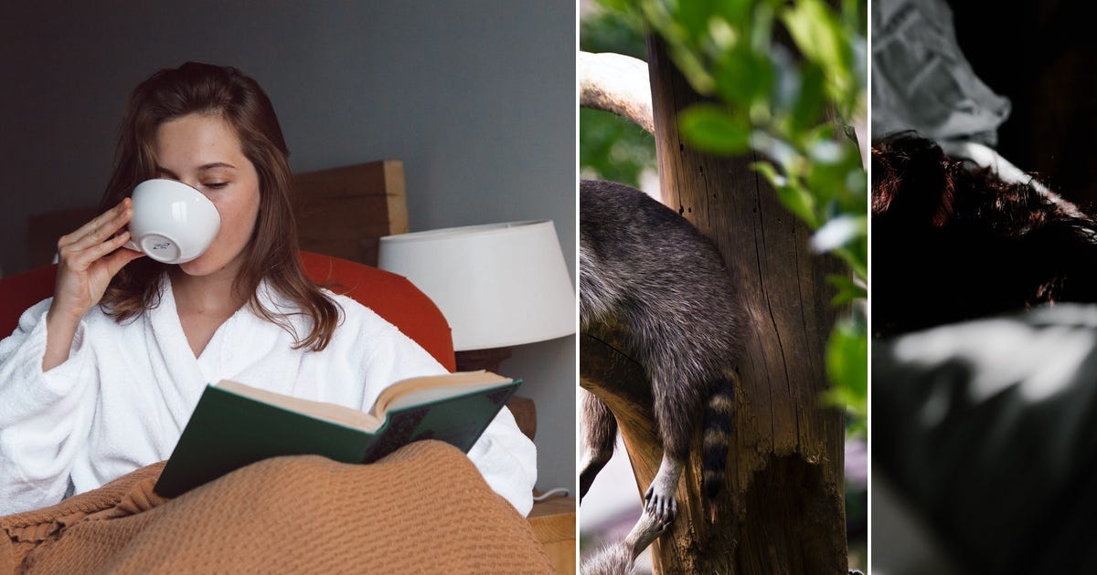 List: Sleep | Curated by Kathy Andrews Keating | Medium