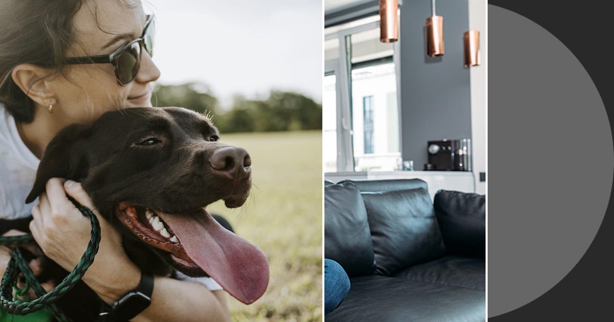 List: Career Growth | Curated by Greg Hohman | Medium