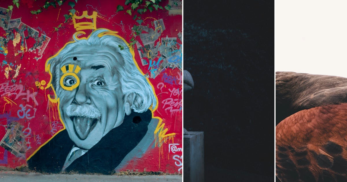 List: Motivation | Curated by Mina | Medium