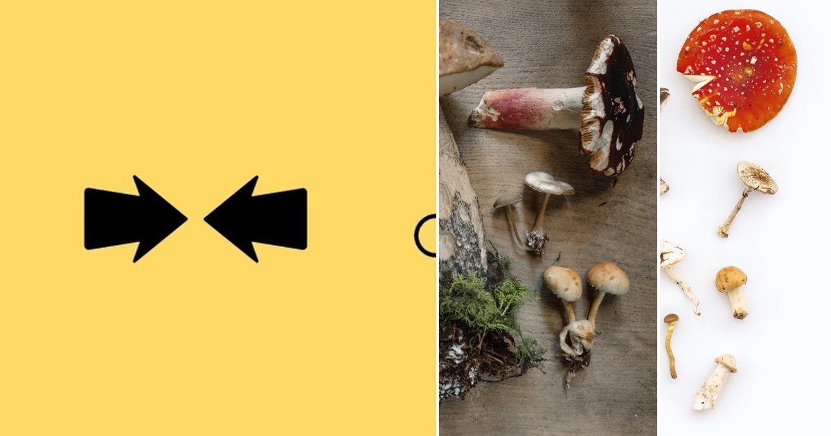 List: XAI | Curated by Josholsan | Medium