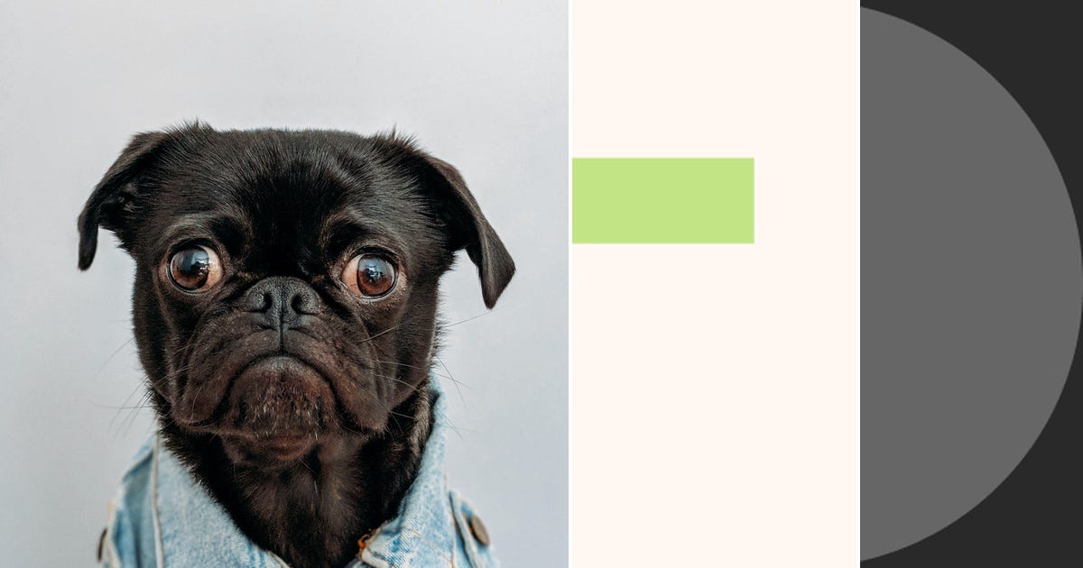 List: SQL Stored Procedures | Curated by Alina Bazavan | Backend Developer (Python, Django) | Medium