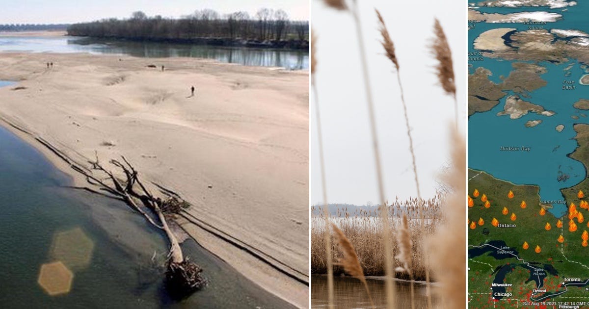 List: Environmental | Curated by 心柔 湯 | Medium