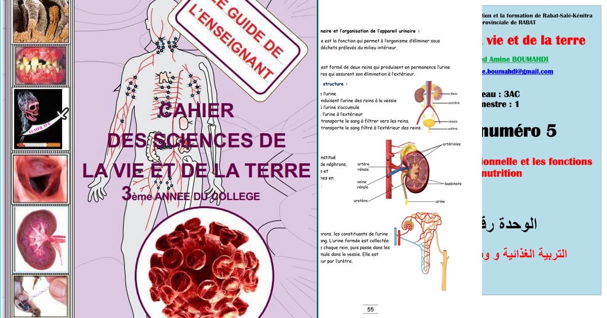 List: svt 3ac | Curated by Fichie Com | Medium