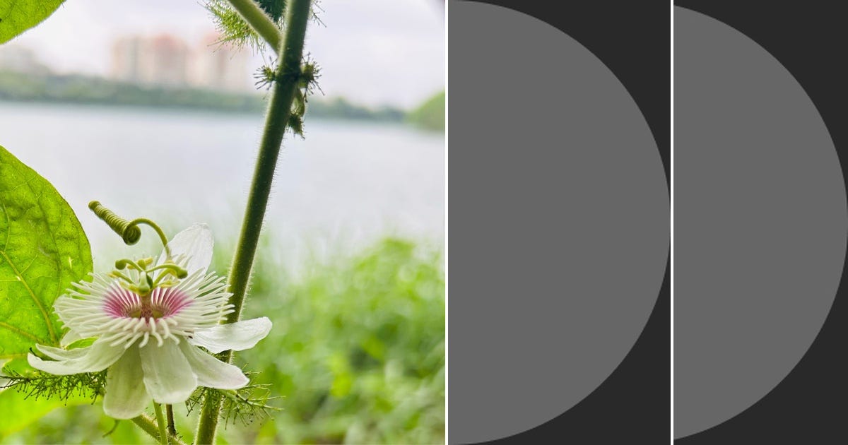 List: Reading list | Curated by Reshma Soodana | Medium